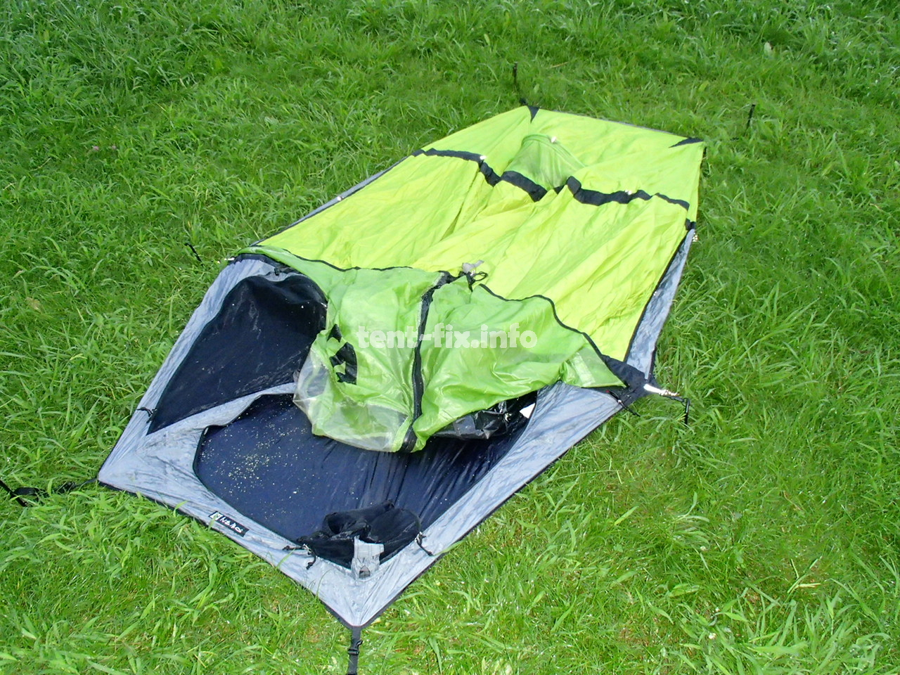 NEMO MORPHO AR (ニーモ モルフォ AR)