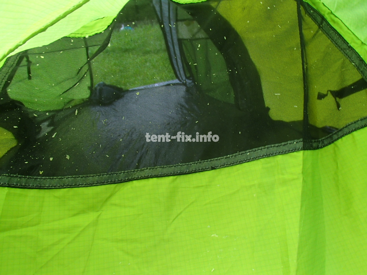 NEMO MORPHO AR (ニーモ モルフォ AR)