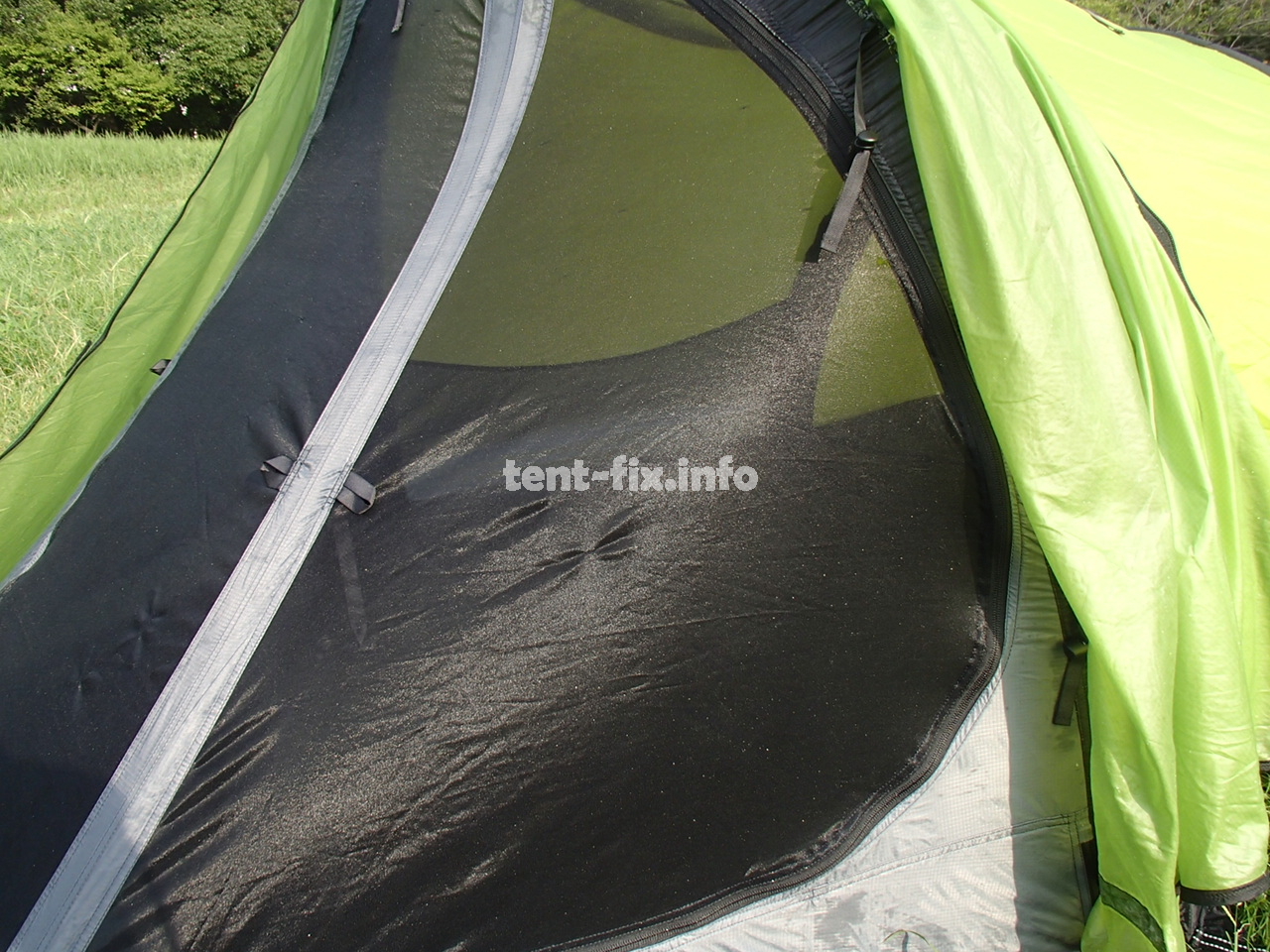 NEMO MORPHO AR (ニーモ モルフォ AR)